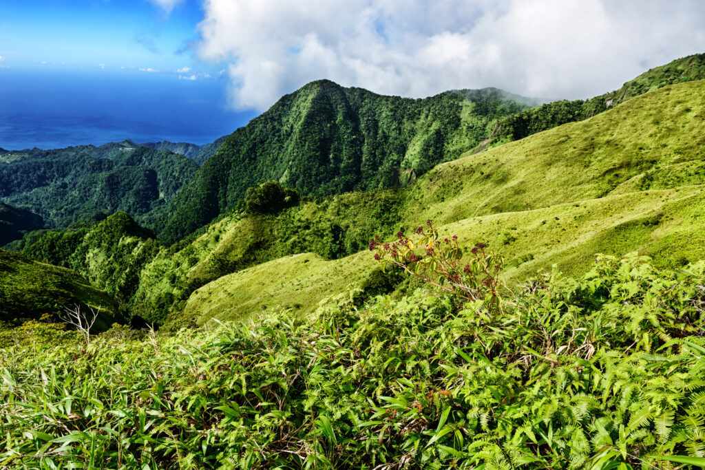 Natur-Eskapade auf Martinique, der Blume der Karibik | Villas du Lagon